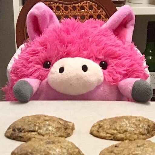 Documentation is important in every organization: Writing down all the ...